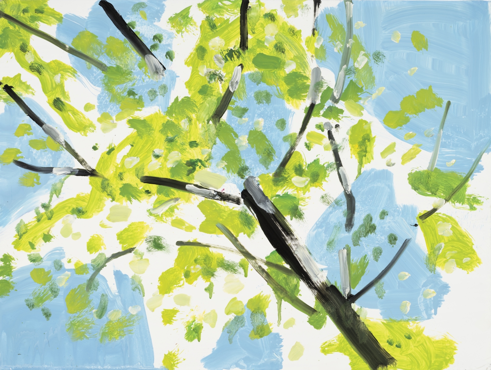 Artists | PIBI Gallery